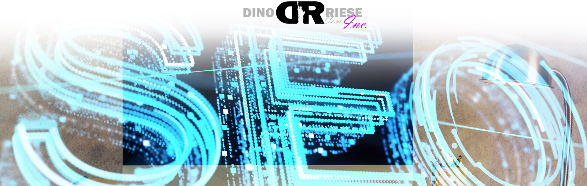 Search Engine Optimization, SEO, NY, DinoRiese.com